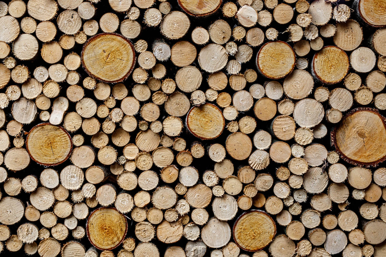 LifeProtect by USmills – LifeProtect®